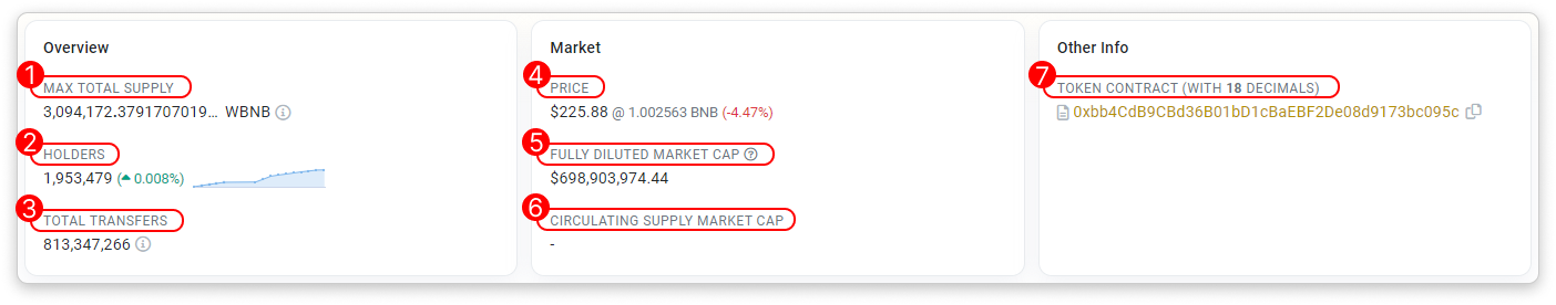 BscScan Information Center | Understanding the Token page